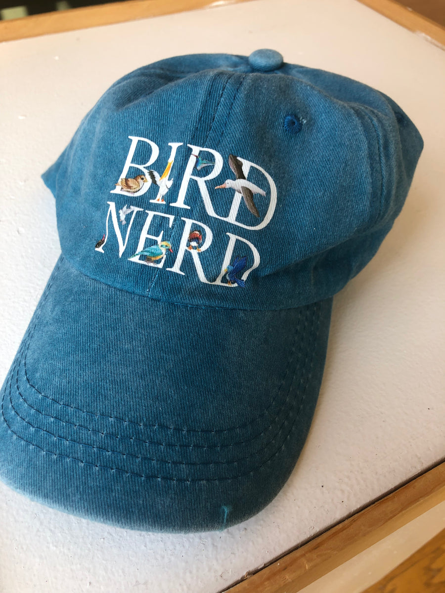 Beverly Shores Depot - Baseball Cap - Bird Nerd - Aqua Blue – Beverly ...