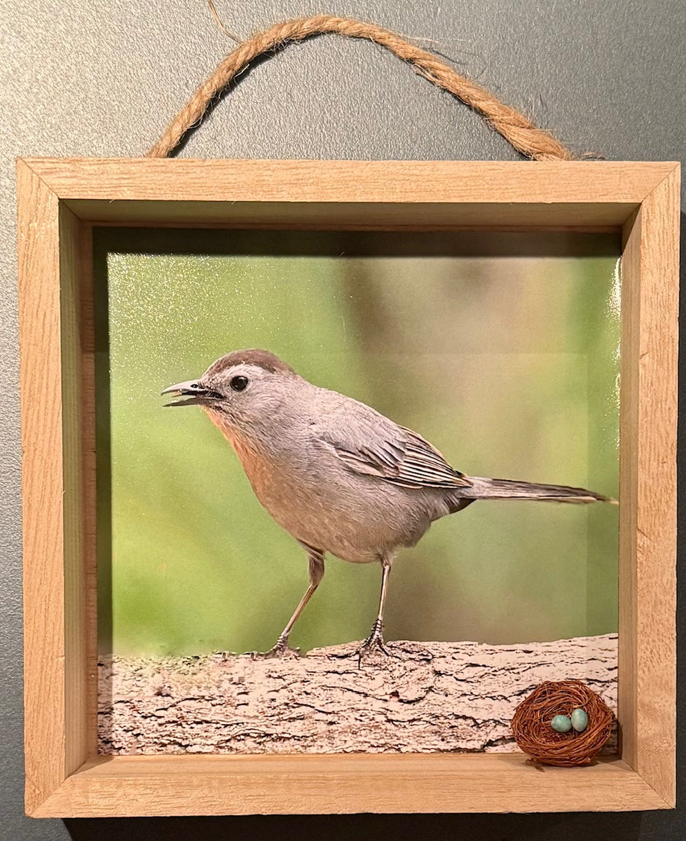 Steven Schwab - Catbird with Nest – Beverly Shores Depot Museum and Art ...